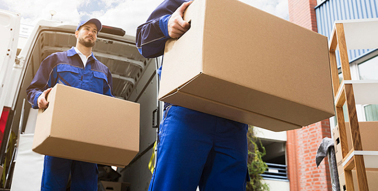 XL Courier Oversize Parcel Expert